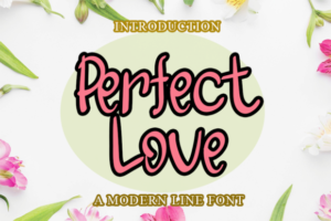 Perfect Love Font Digital Font Download