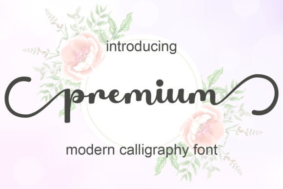 Premium Font Digital Font Download