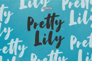 Pretty Lily Font Digital Font Download