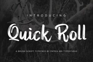 Quick Roll Font Digital Font Download