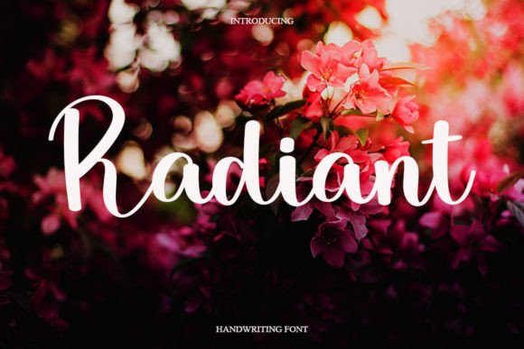 Radiant Font Digital Font Download
