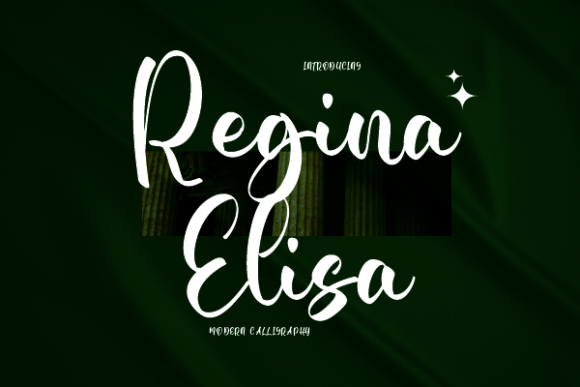 Regina Elisa Font Digital Font Download