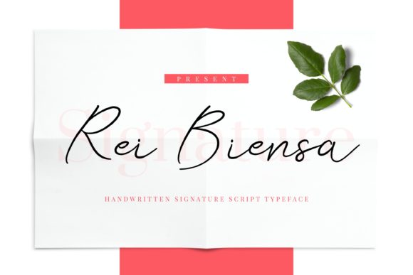 Rei Biensa Font Digital Font Download
