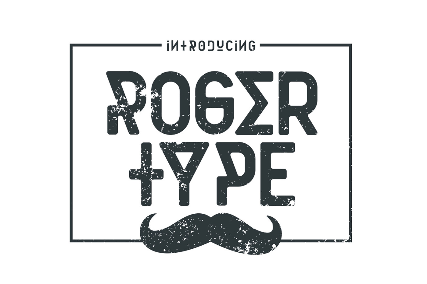 Roger Type Font Digital Font Download