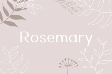 Rosemary Font Digital Font Download