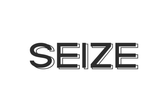 Seize Font Digital Font Download