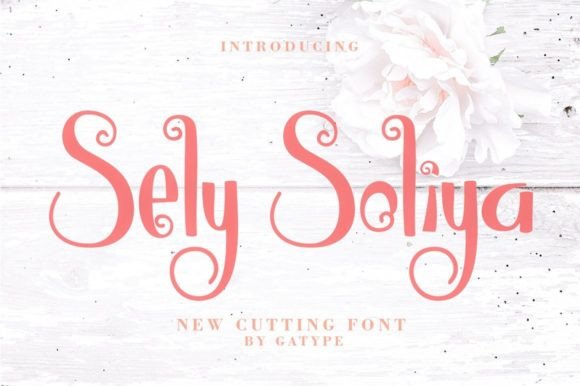 Sely Soliya Font Digital Font Download