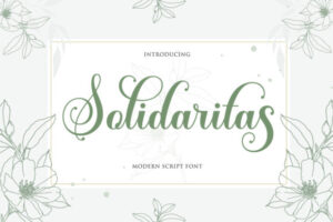 Solidaritas Font Digital Font Download