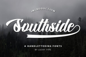 Southside Script Font Digital Font Download