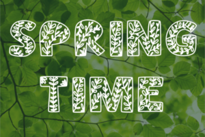 Spring Time Font Digital Font Download