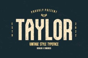 Taylor Font Digital Font Download