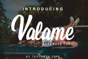Valame Font Digital Font Download