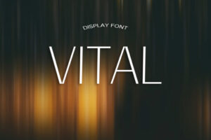 Vital Font Digital Font Download
