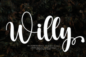 Willy Font Digital Font Download