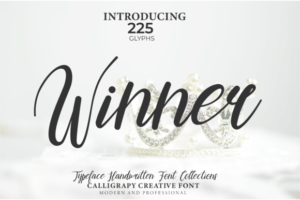 Winner Font Digital Font Download
