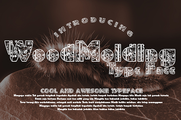 WoodMolding Font Digital Font Download