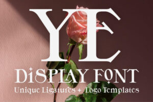YE Font Digital Font Download